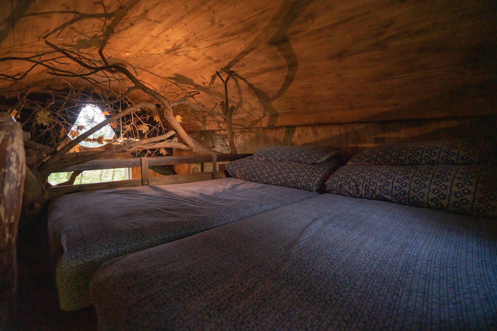 Faraway Treehouse | Treehouse in Cumbria | Canopy & Stars