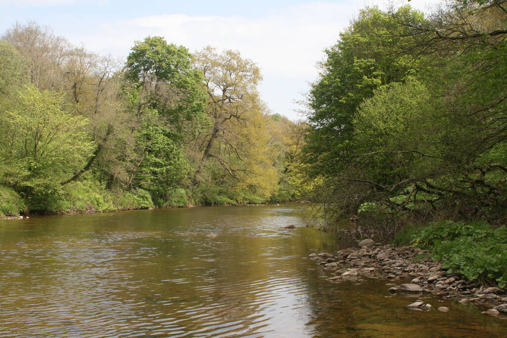 Faraway Treehouse | Treehouse in Cumbria | Canopy & Stars