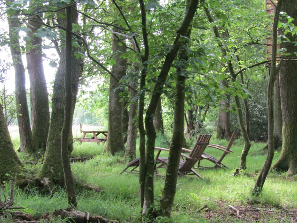 Faraway Treehouse | Treehouse in Cumbria | Canopy & Stars