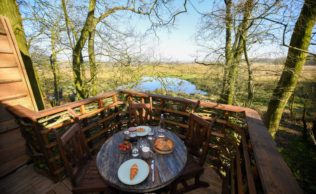 Faraway Treehouse | Treehouse in Cumbria | Canopy & Stars