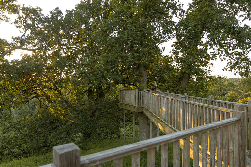 Netherby Treehouse | Treehouse in Cumbria | Canopy & Stars