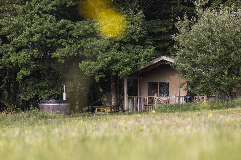 Northcott | Cabin in Devon | Canopy & Stars