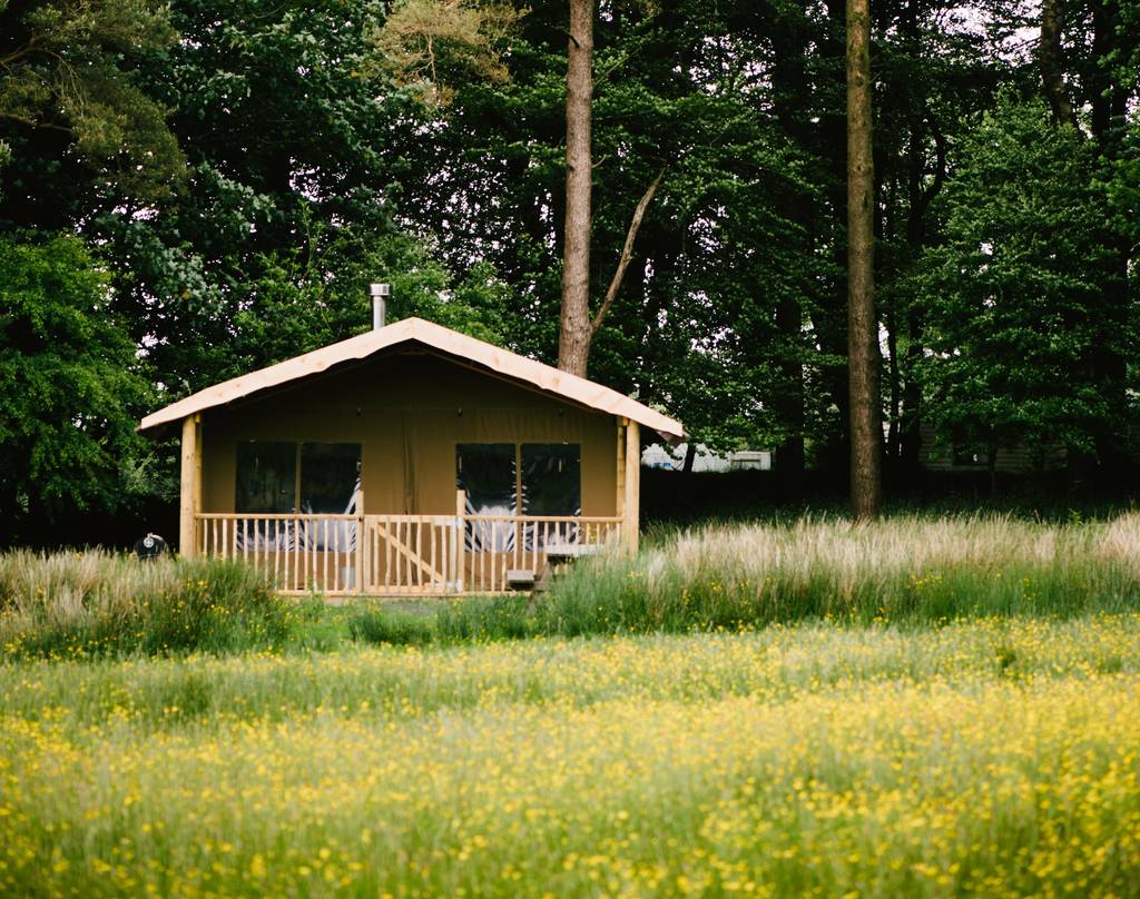 Welcombe | Cabin in Devon | Canopy & Stars