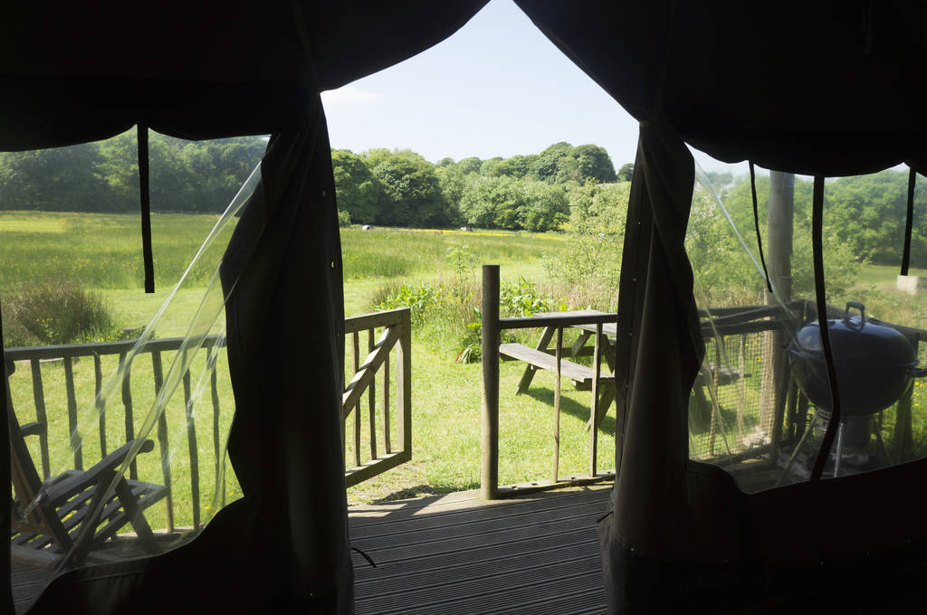 Welcombe | Cabin in Devon | Canopy & Stars