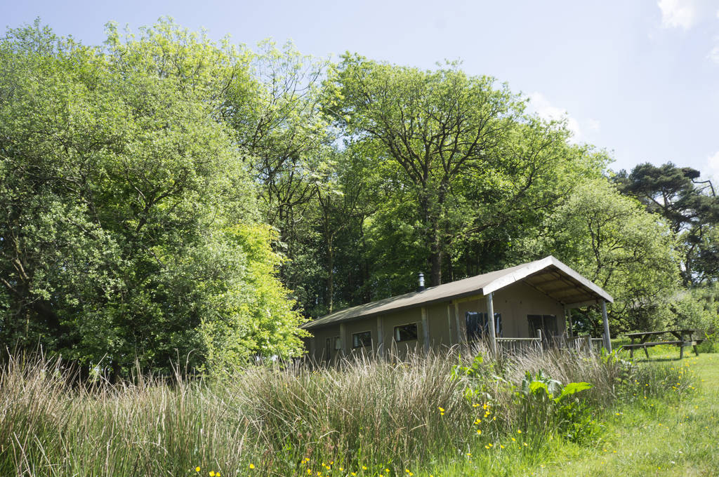 Welcombe | Cabin in Devon | Canopy & Stars