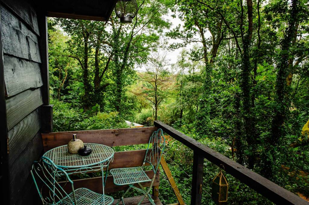 Bluebell Quarry | Estate in Somerset | Canopy & Stars