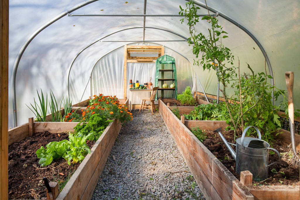 Carpenter Cabin | Cabin in Devon | Canopy & Stars