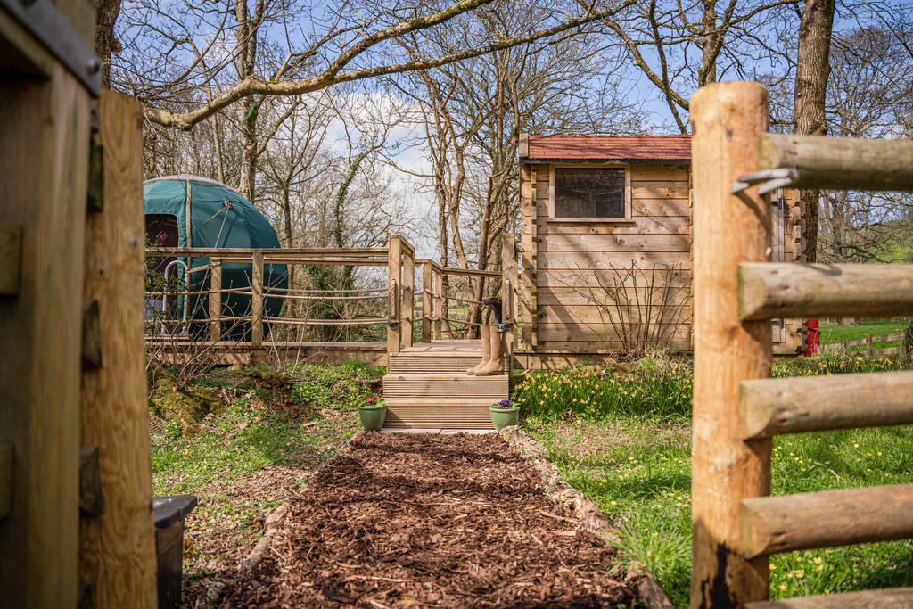 The Pheasant's Retreat | Treehouse in Devon | Canopy & Stars