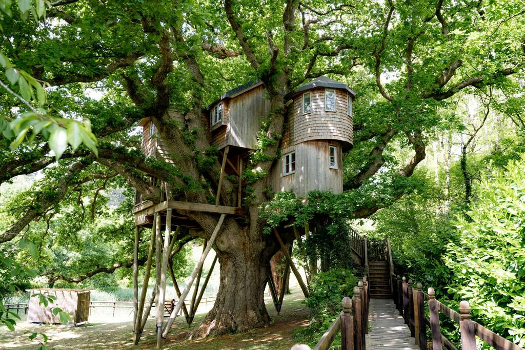Treetops Treehouse | Treehouse in Devon | Canopy & Stars