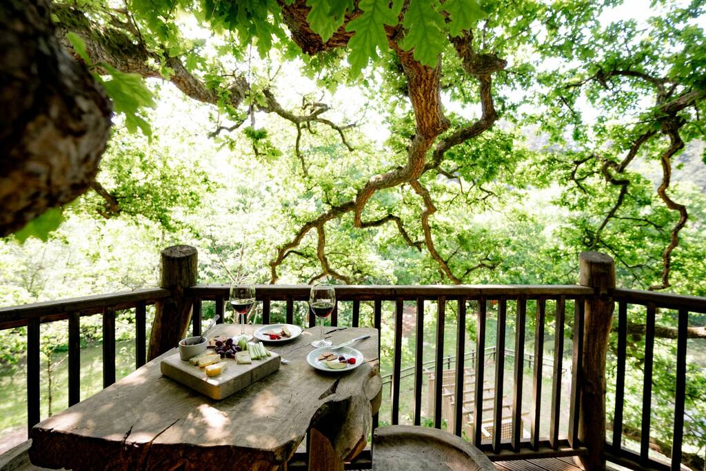 Treetops Treehouse | Treehouse in Devon | Canopy & Stars