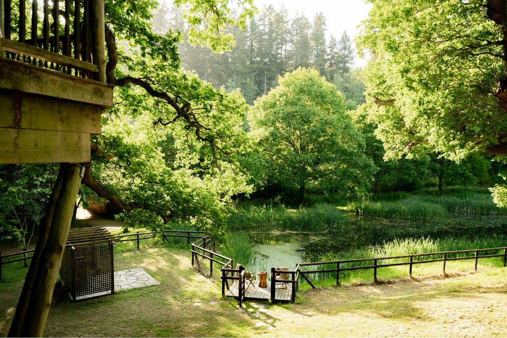Treetops Treehouse | Treehouse in Devon | Canopy & Stars