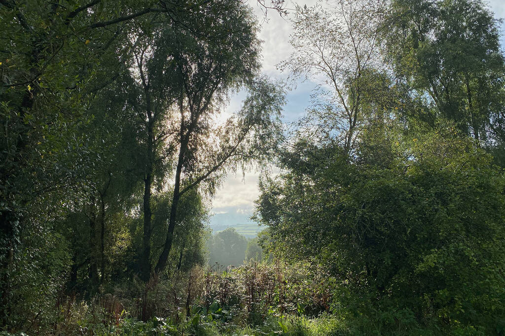 Great Burrow Cottage | Cottage in Devon | Canopy & Stars