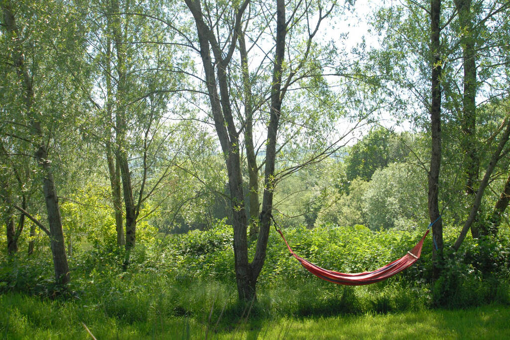 Great Burrow Group Space | Camp in Devon | Canopy & Stars