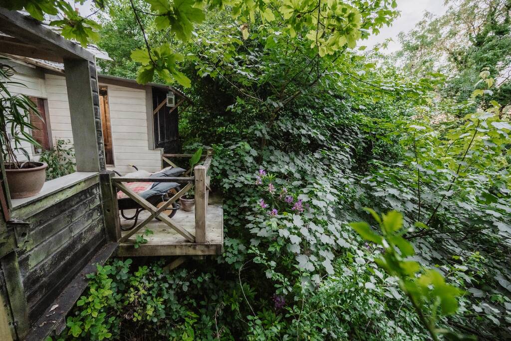 Nutshell | Cabin in Devon | Canopy & Stars