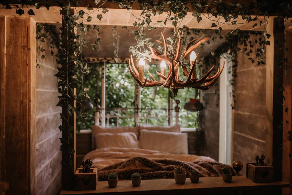 Nutshell | Cabin in Devon | Canopy & Stars