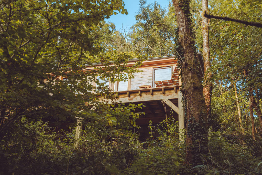 Tiger's Treehouse | Treehouse in Devon | Canopy & Stars