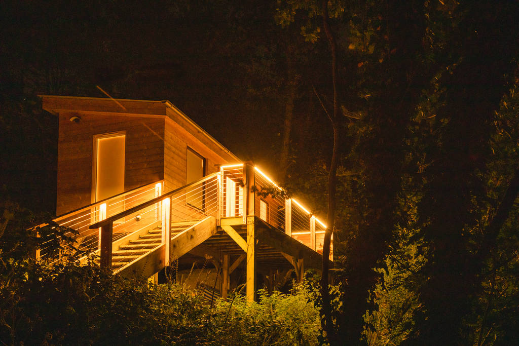 Tiger's Treehouse | Treehouse in Devon | Canopy & Stars