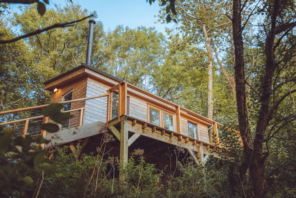 Tiger's Treehouse | Treehouse in Devon | Canopy & Stars