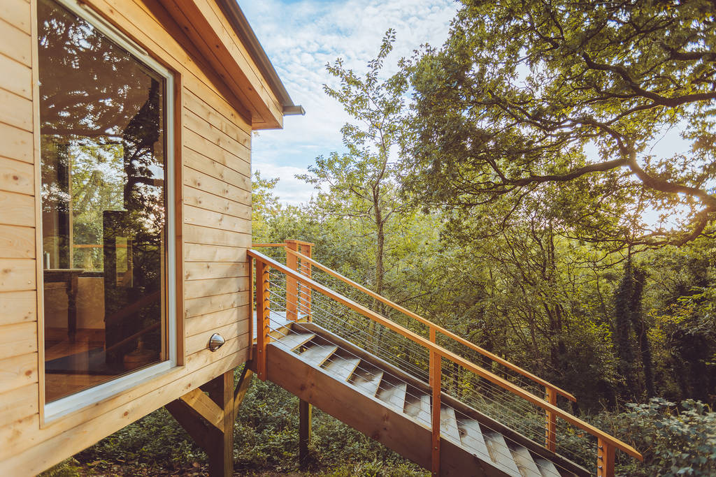 Tiger's Treehouse | Treehouse in Devon | Canopy & Stars