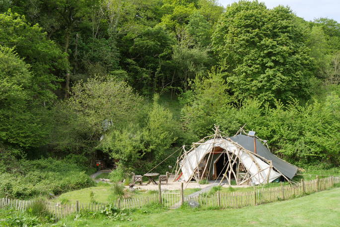 Leewood | Devon | Canopy & Stars