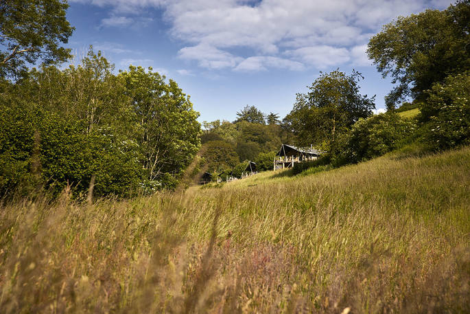 Lee | Safari tent in Devon | Canopy & Stars