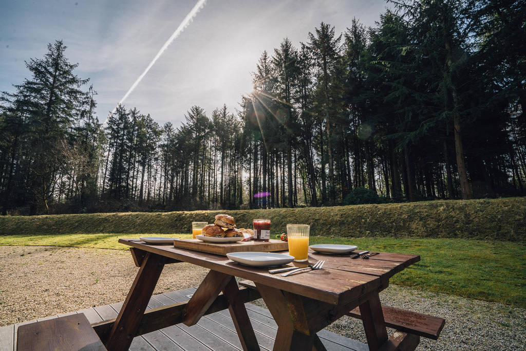 Paradise Pines | Cabin in Devon | Canopy & Stars