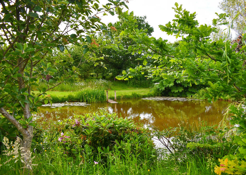 Perry Pond Cabin | Cabin in Devon | Canopy & Stars