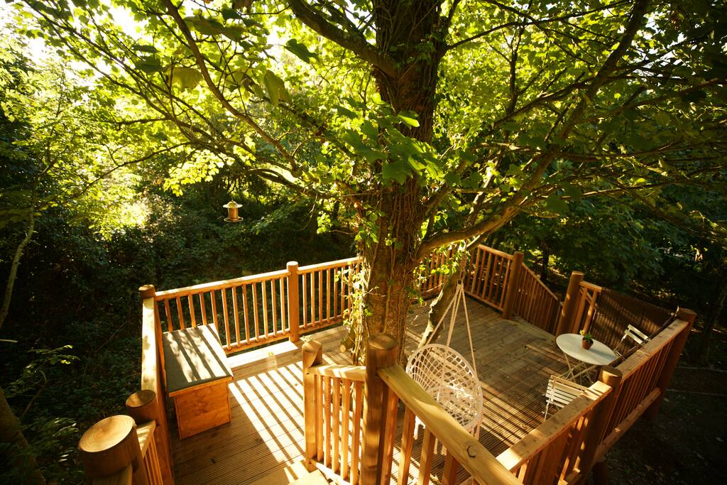 Hideaway Treehouse at Pickwell Manor | Treehouse in Devon | Canopy & Stars