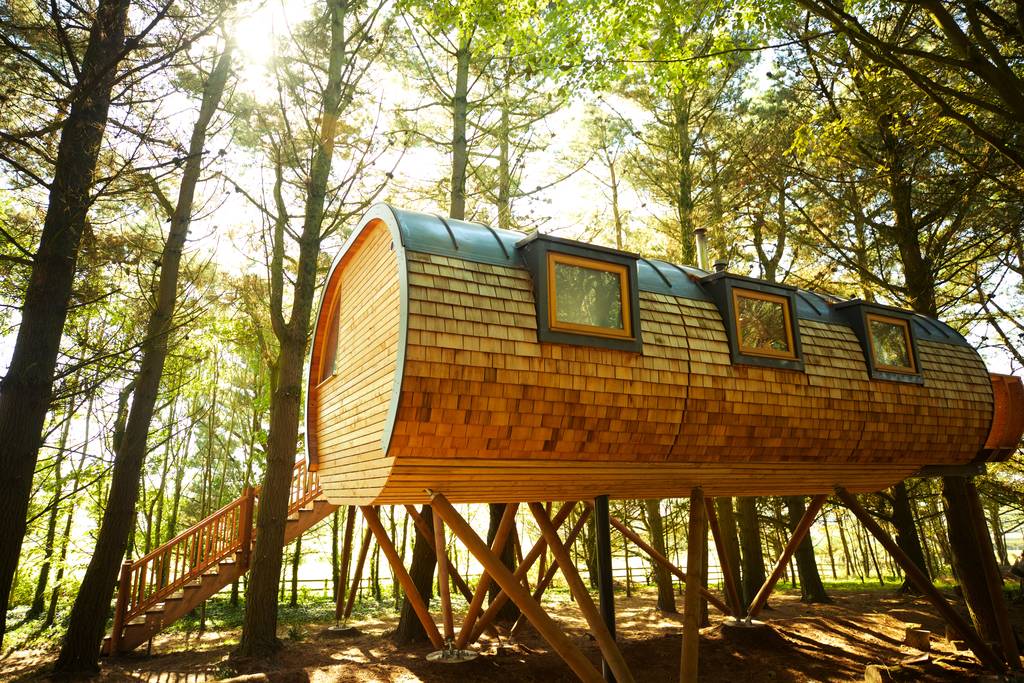 Loft Treehouse at Pickwell Manor | Treehouse in Devon | Canopy & Stars