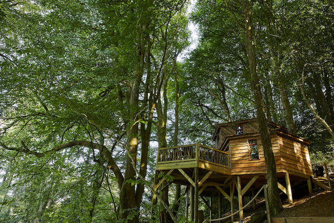 Ravendere Treehouse | Treehouse in Devon | Canopy & Stars
