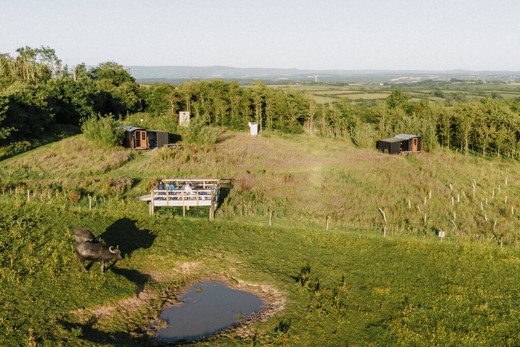 Beaver | Shepherd's hut in Devon | Canopy & Stars