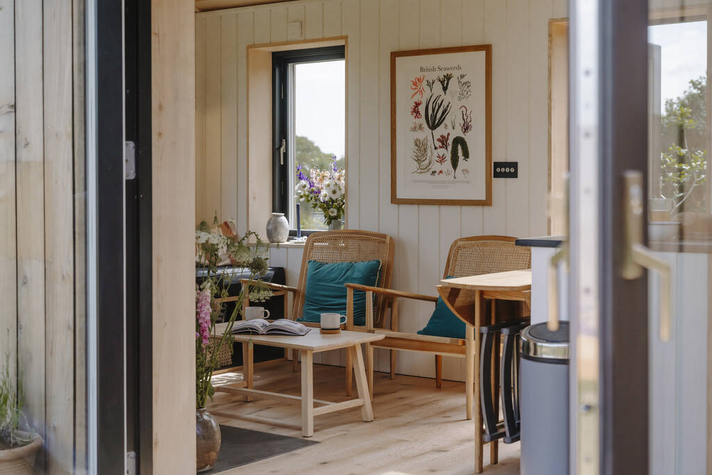 Pointy | Cabin in Devon | Canopy & Stars