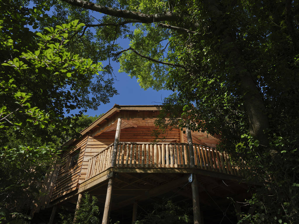 Hideout Treehouse | Treehouse in Devon | Canopy & Stars