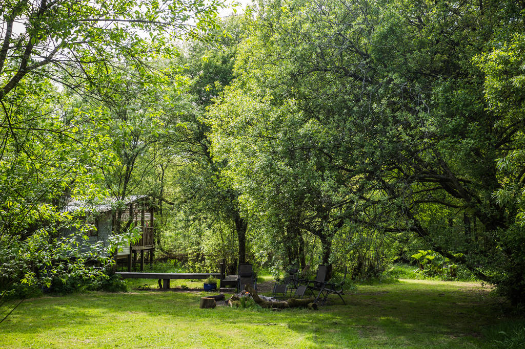 The Woodland Retreat | Cabin in Devon | Canopy & Stars