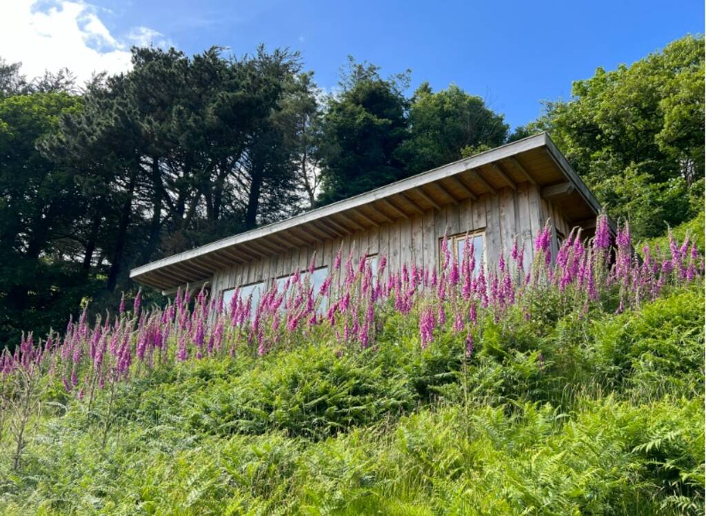 Valentine's Orchard | Cabin in Devon | Canopy & Stars