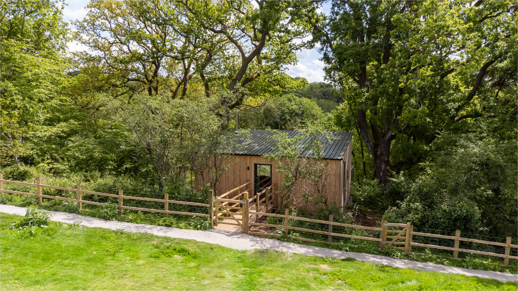 The Wonham Oak | Treehouse in Devon | Canopy & Stars
