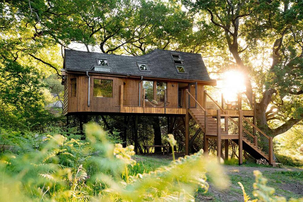 Coast and Canopy Treehouse | Treehouse in Dorset | Canopy & Stars