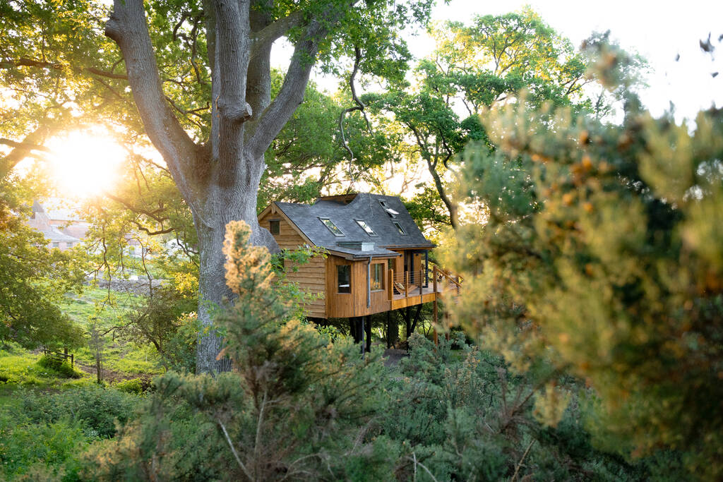 Coast and Canopy Treehouse | Treehouse in Dorset | Canopy & Stars