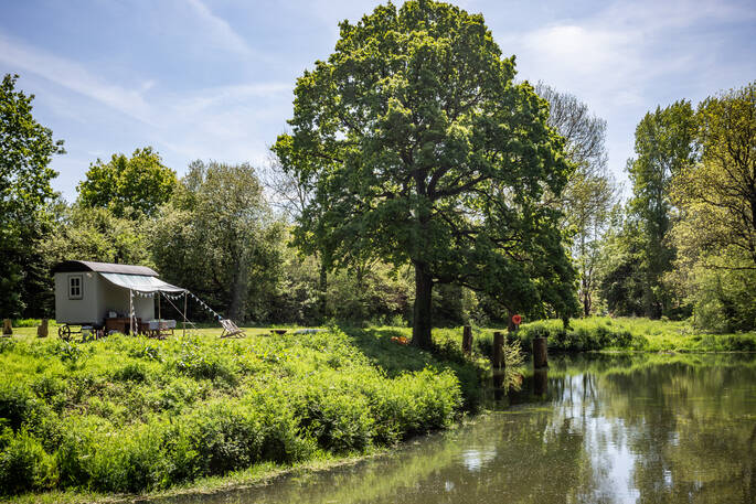 Laverstock Farm | Dorset | Canopy & Stars