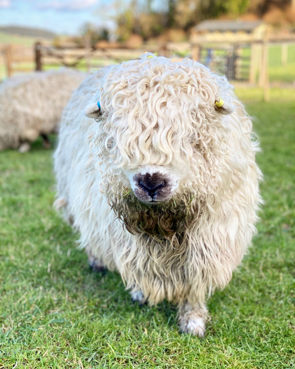 Trappers | Cabin in Dorset | Canopy & Stars