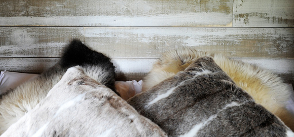 Trappers | Cabin in Dorset | Canopy & Stars