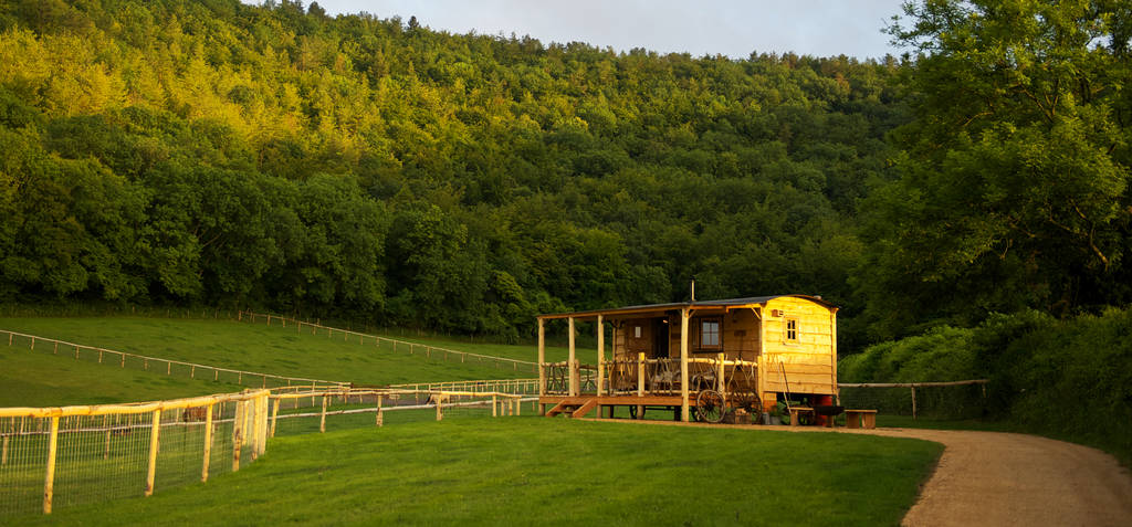 Trappers | Cabin in Dorset | Canopy & Stars