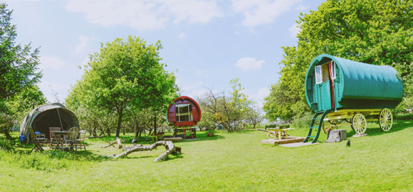 The Gypsy Camp | Essex | Canopy & Stars