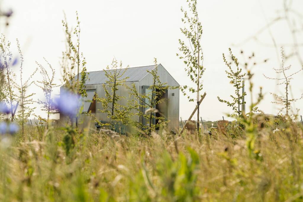 The Bothy | Cabin in Essex | Canopy & Stars