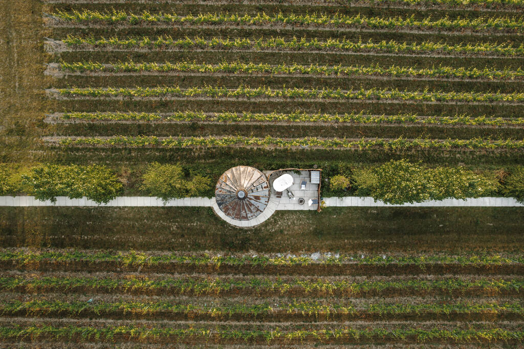 The Grain Silo | Silo in Essex | Canopy & Stars