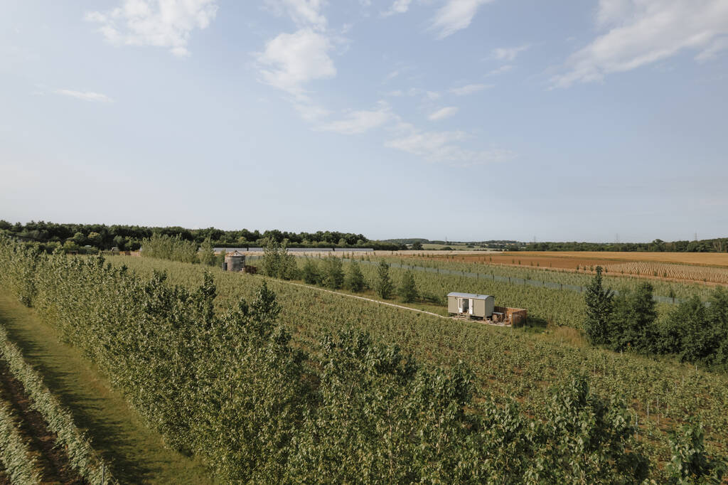 The Grain Silo | Silo in Essex | Canopy & Stars