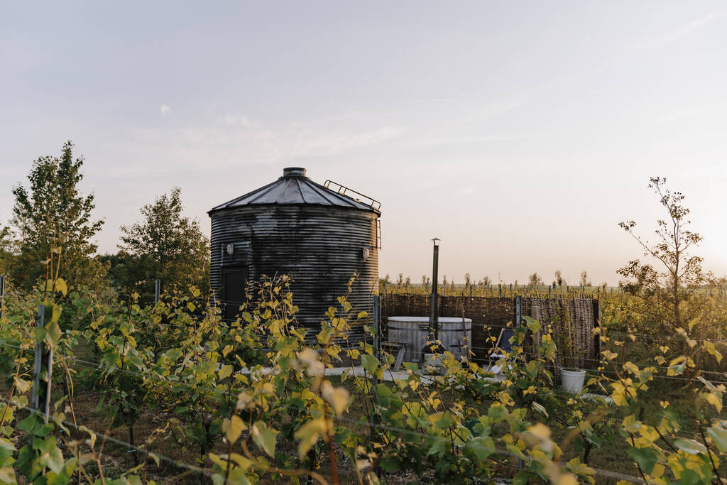 The Grain Silo | Silo in Essex | Canopy & Stars
