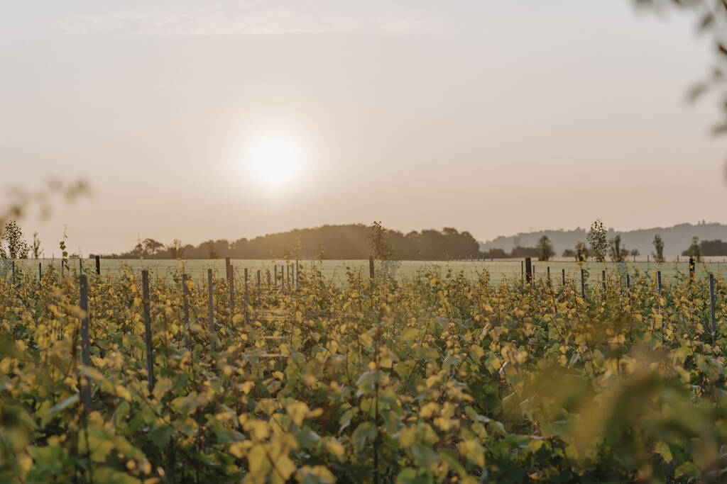 The Grain Silo | Silo in Essex | Canopy & Stars