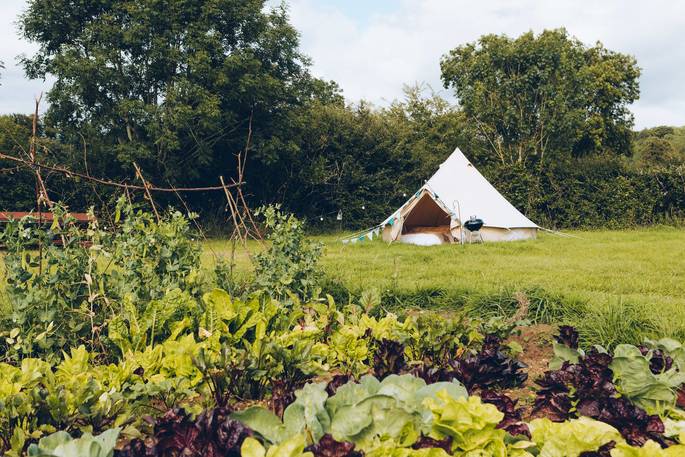 Hammonds Farm | Gloucestershire | Canopy & Stars