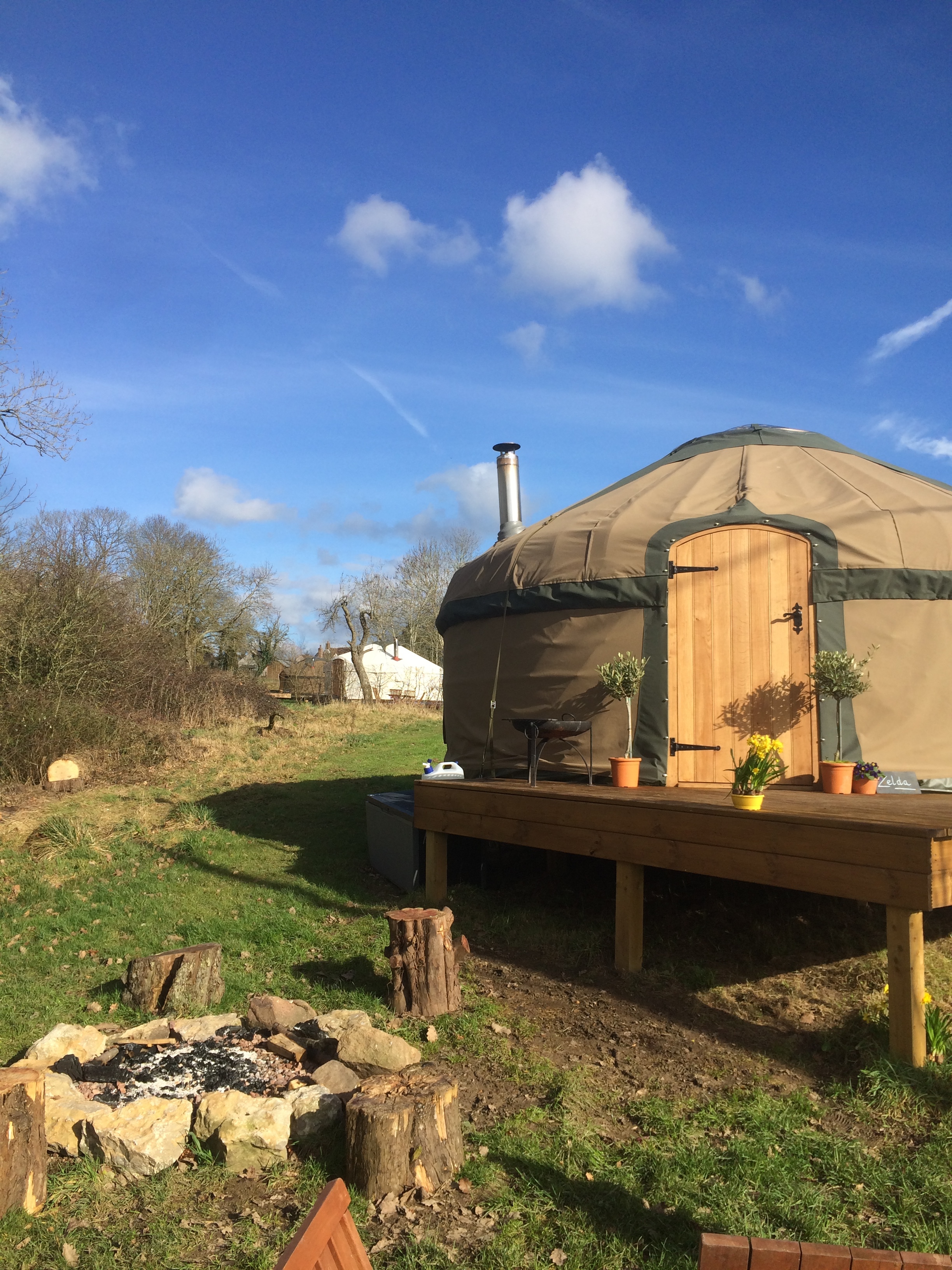 Zelda | Canopy & Stars